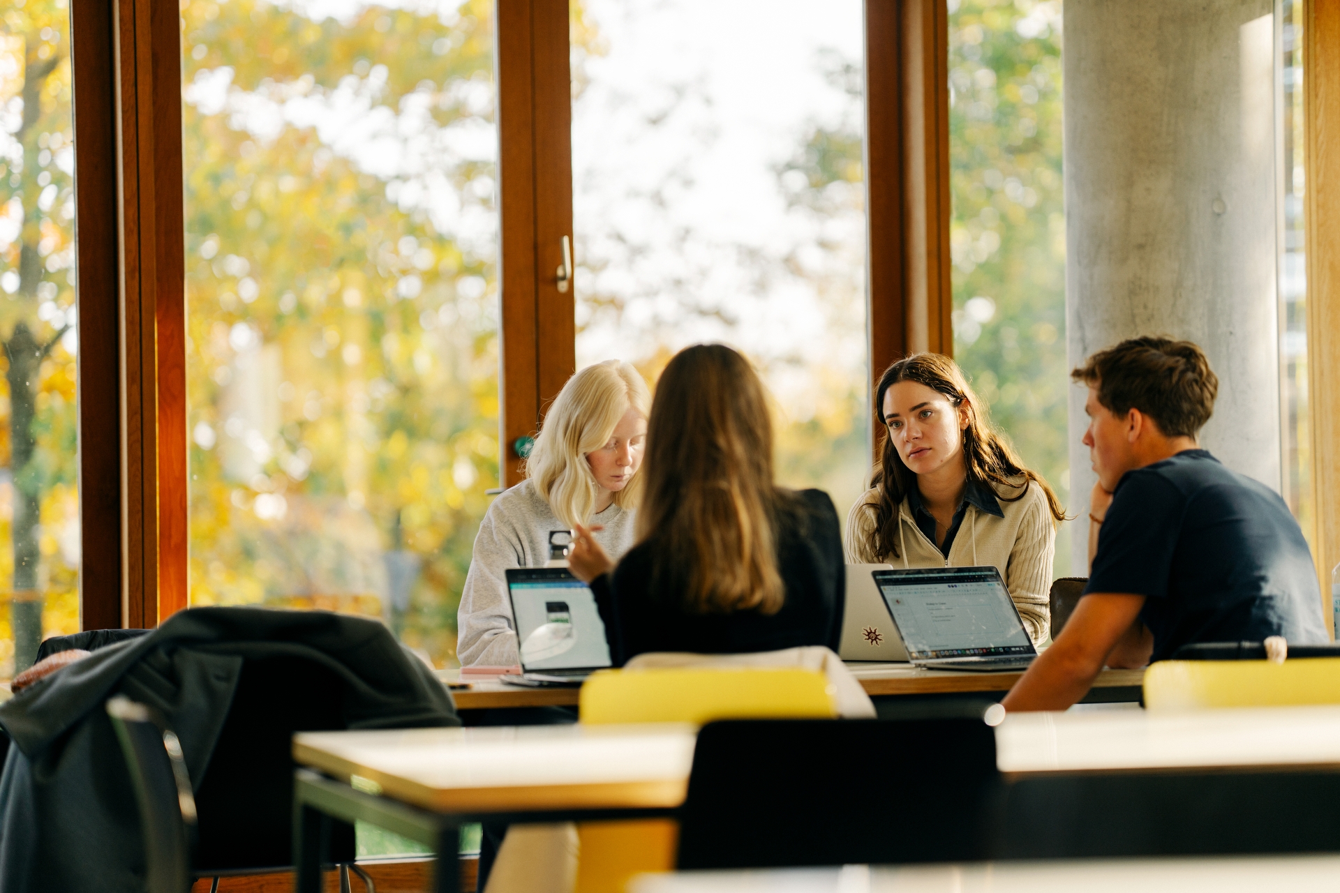 BSc in International Business | CBS - Copenhagen Business School