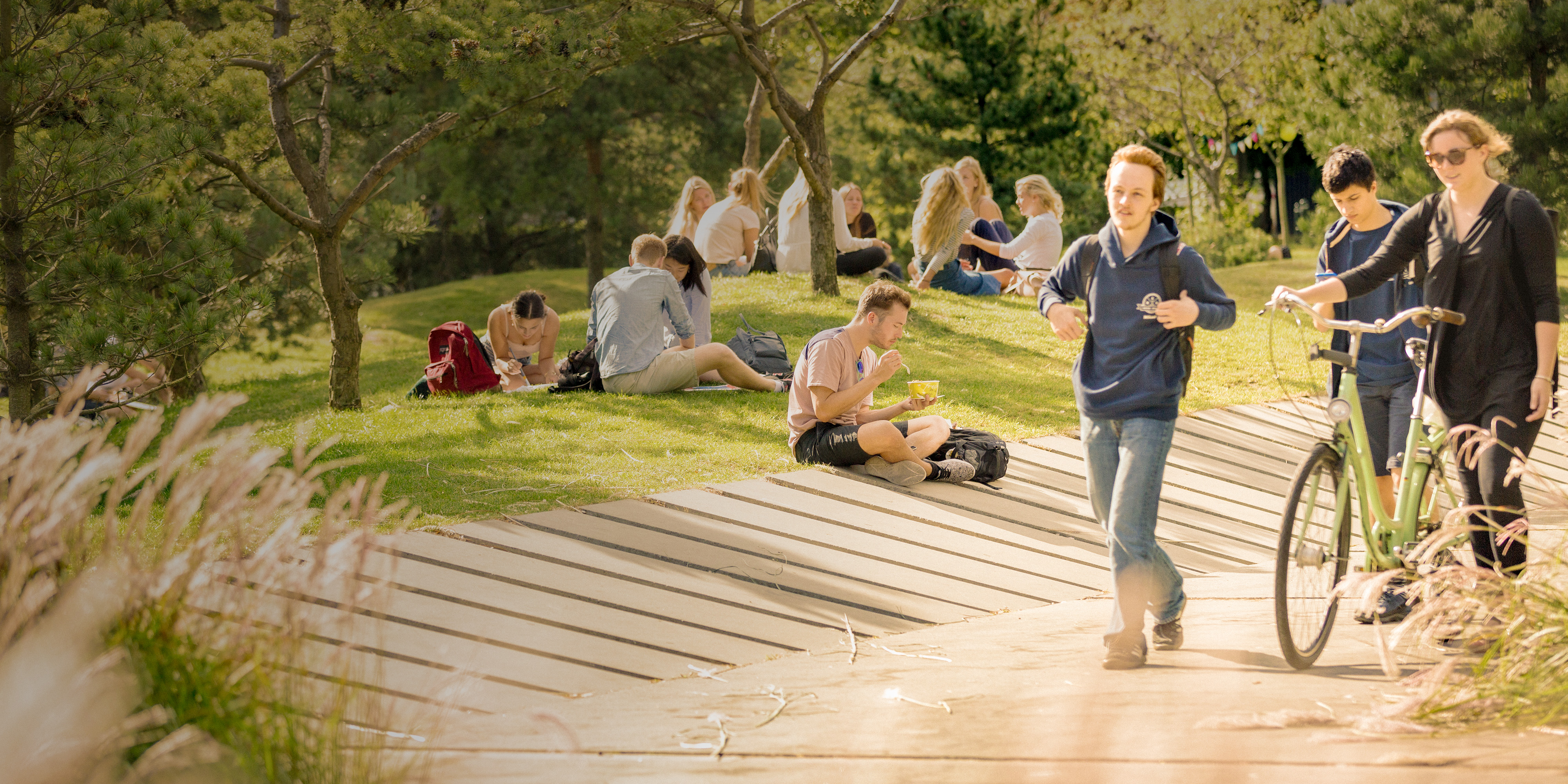 Summer University | CBS - Copenhagen Business School