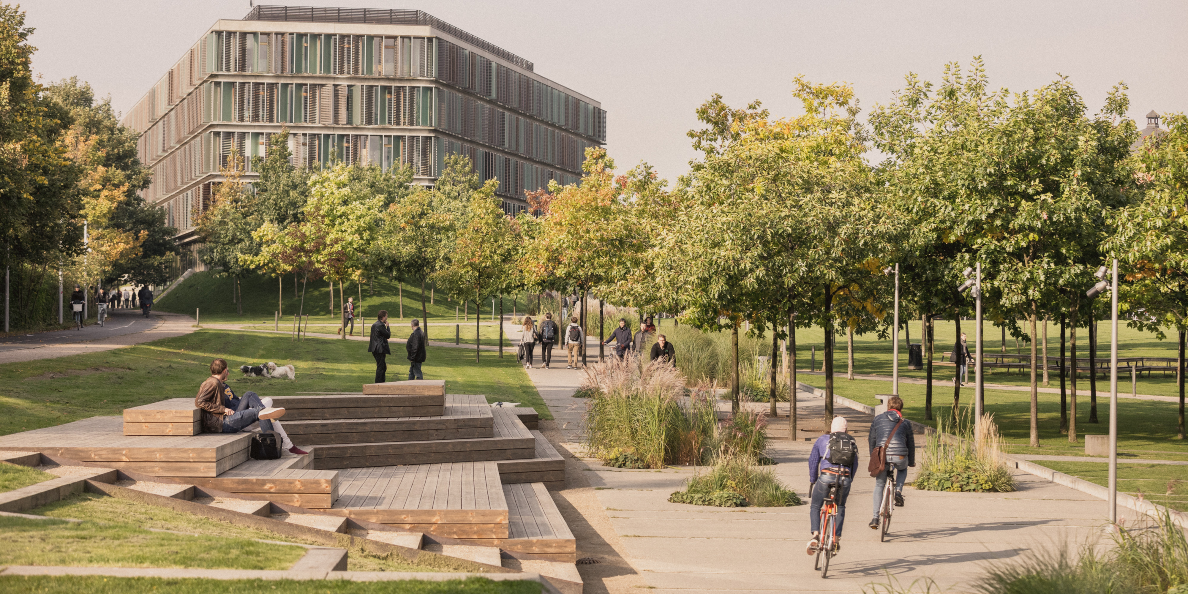 For virksomheder | CBS - Copenhagen Business School