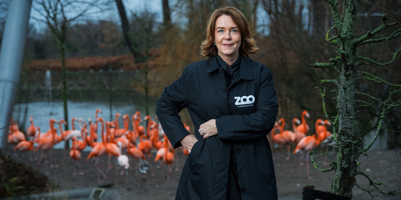 Sådan endte Pernille Mehl med ansvaret for 300 medarbejdere og 4000 dyr ...